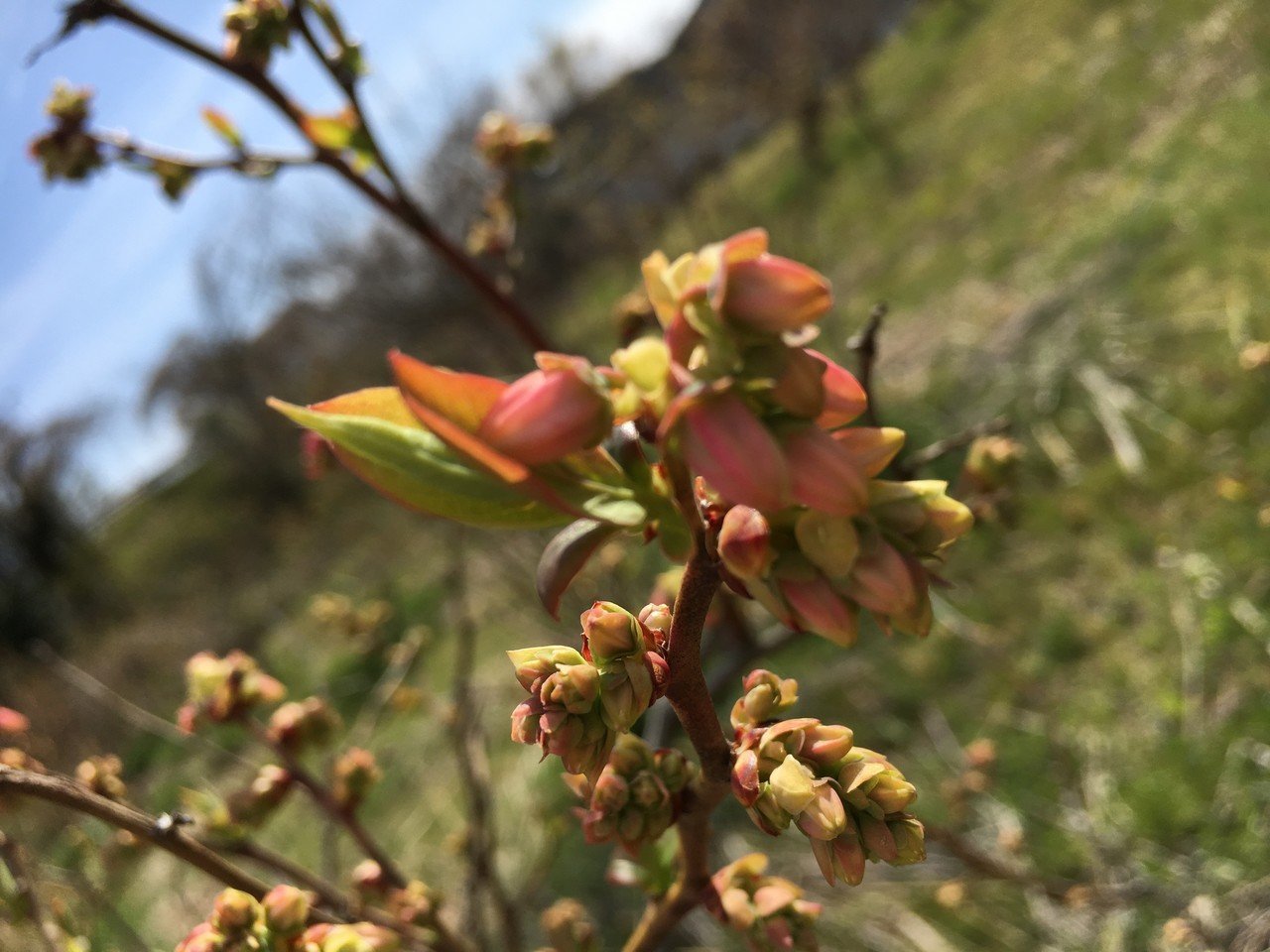新しい時代を生きる｜阿邊里恵_rie abe