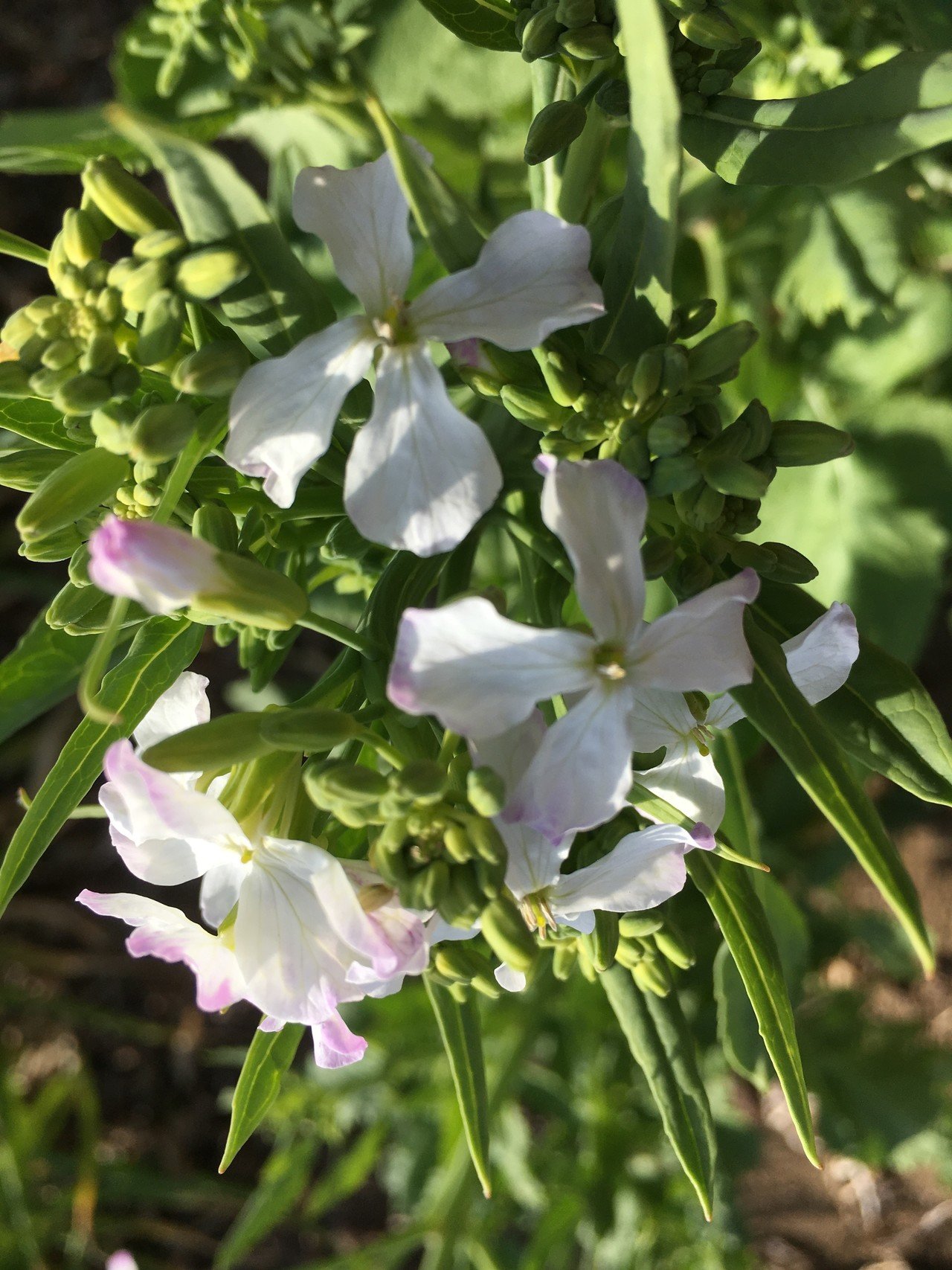 新しい時代を生きる｜阿邊里恵_rie abe