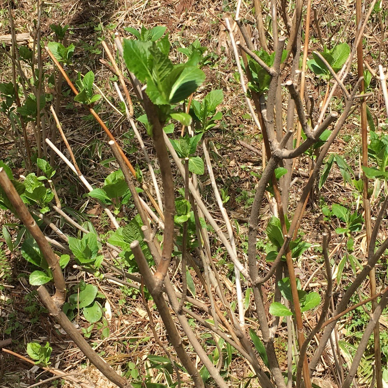 新しい時代を生きる｜阿邊里恵_rie abe