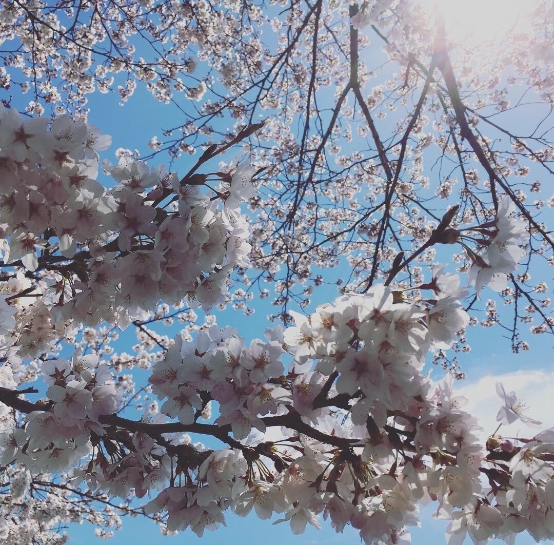 新しい時代を生きる｜阿邊里恵_rie abe