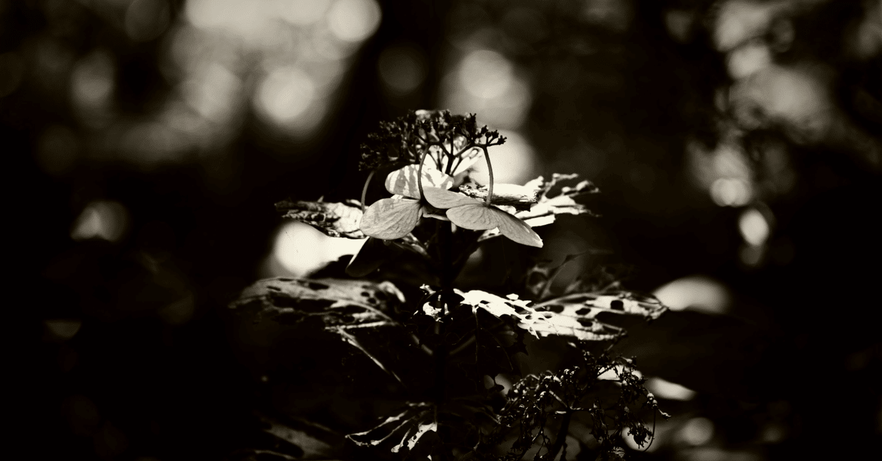 【Photoshop】2023夏のブラシ素材｜neko.usaさん