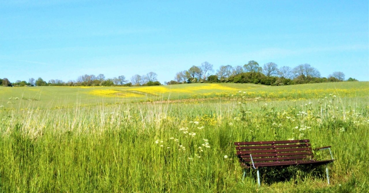 寛容と我慢ー日々の尊厳｜Akio