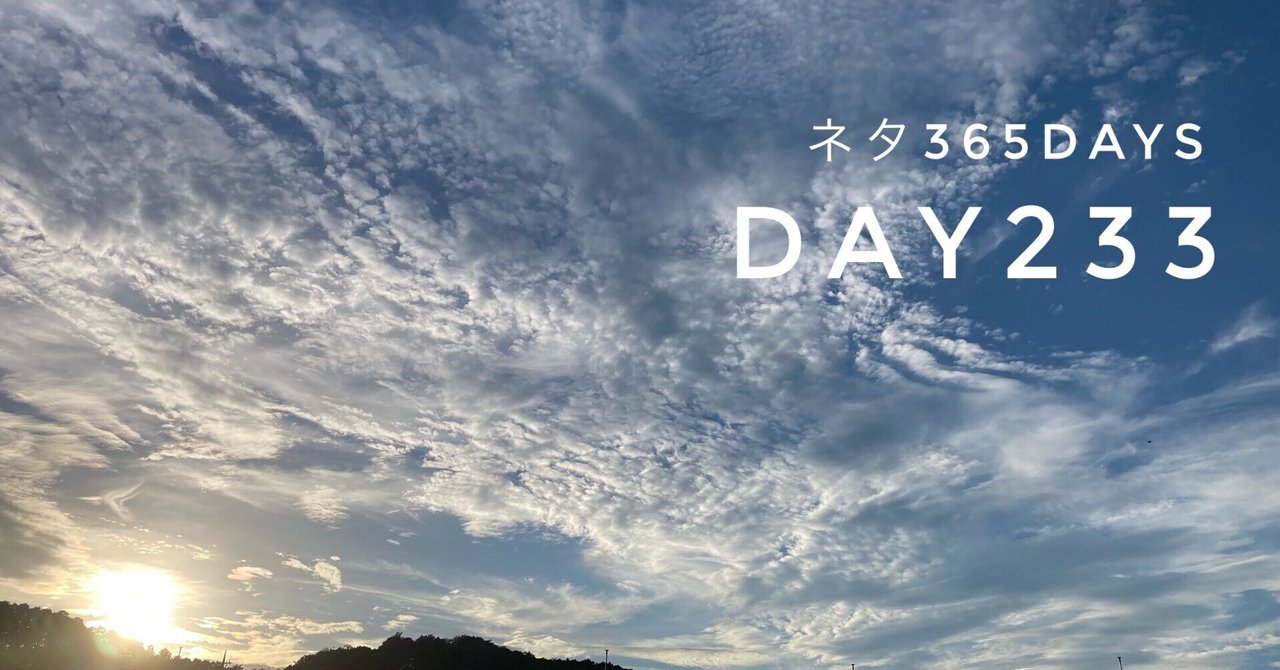 【My365days day233 肚に意識を置く】｜Timmy