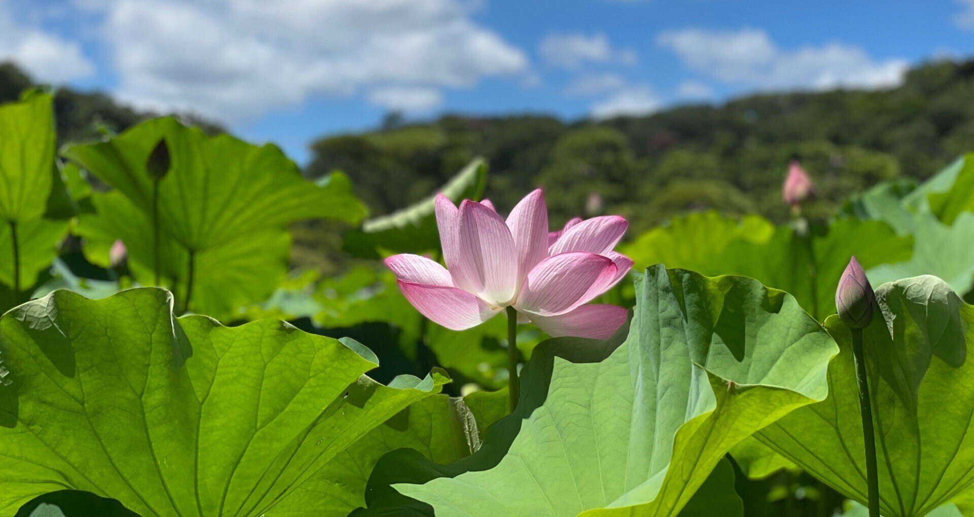 SAKO_40代女子が起業頑張ってみます｜note