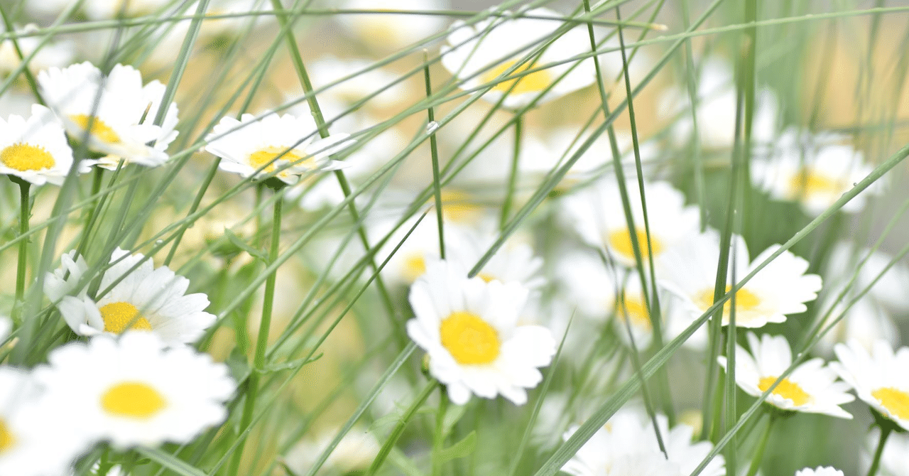 The Communicative Performance Measure （3）｜Yoshiaki Ozawa, Ph.D.