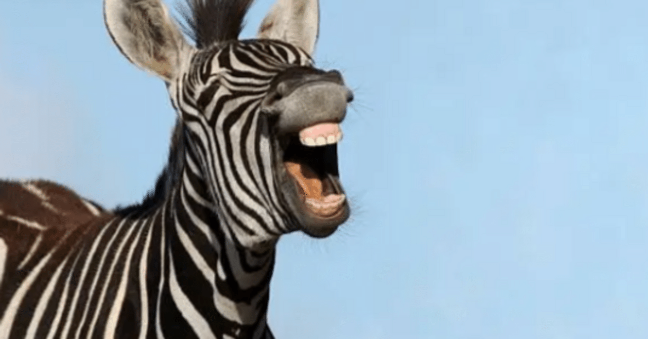 挑戦し失敗しそしてそれを笑ってくれたら！｜Issei 世界旅人