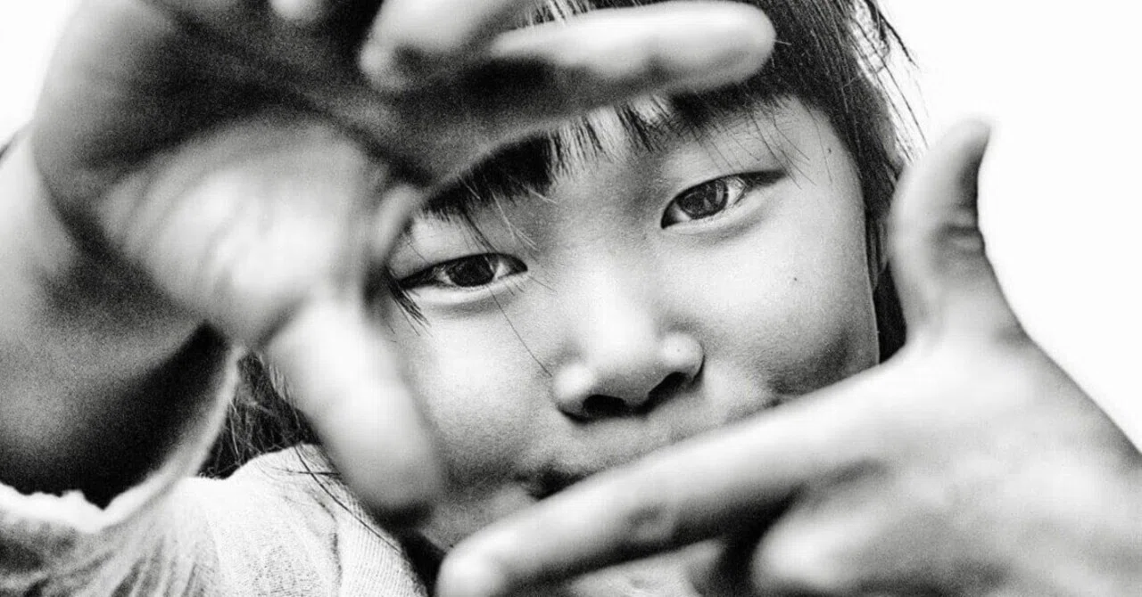 Guide to Camera Types: Evolving Tools of Photography｜Master Photo Method