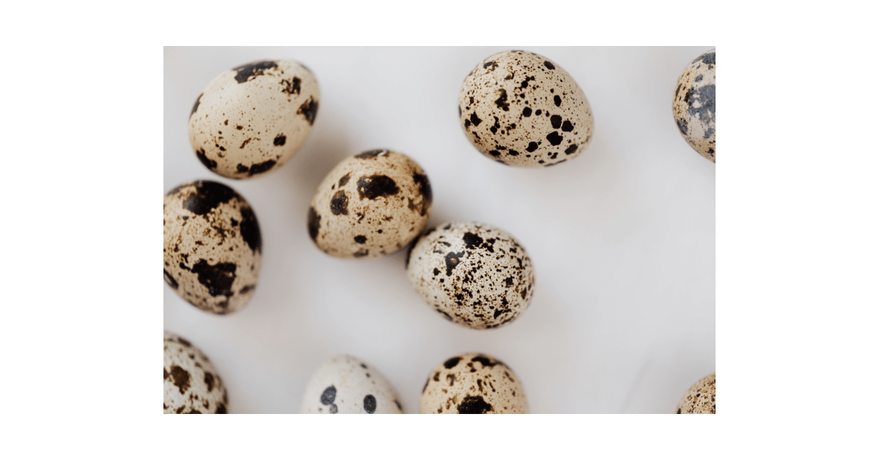 No worries, I will make a plan! - Job hunting in South Africa｜Ubuntu Life - 南アフリカの生活 | Mackey