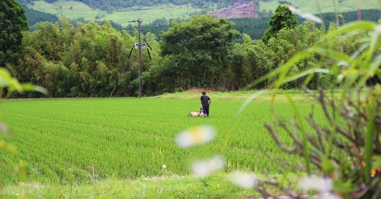種まきなくして、収穫なし｜shingo_moriya