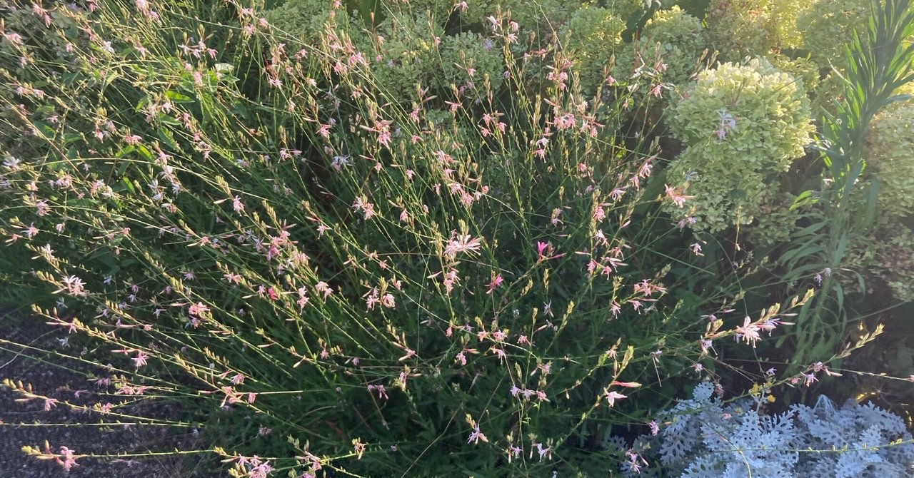 Garden｜湊谷翔-Minatoya Kakeru-