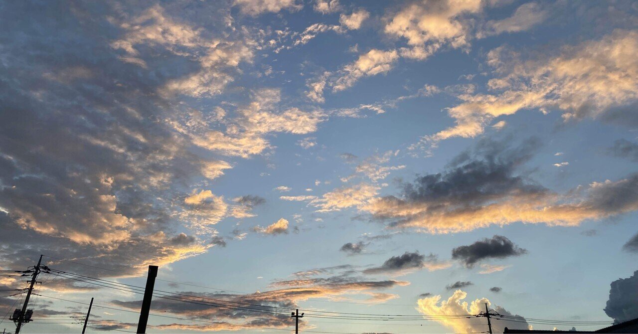 329 親戚｜Pf_tacos