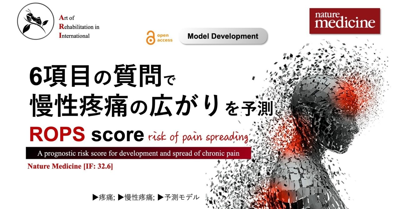 6項目の質問で慢性疼痛の広がりを予測。『rops Score』｜super Human 理学療法士／保健学博士 Phd