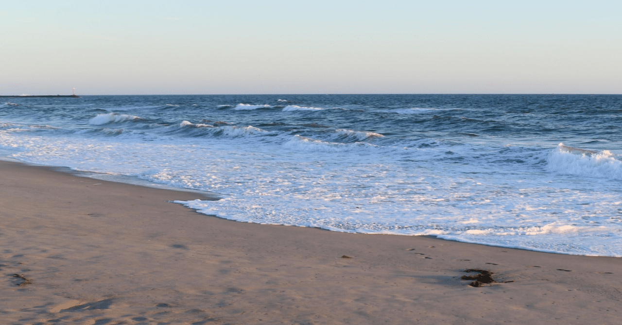 アニメ「ぐらんぶる」を見て｜ume_sendai