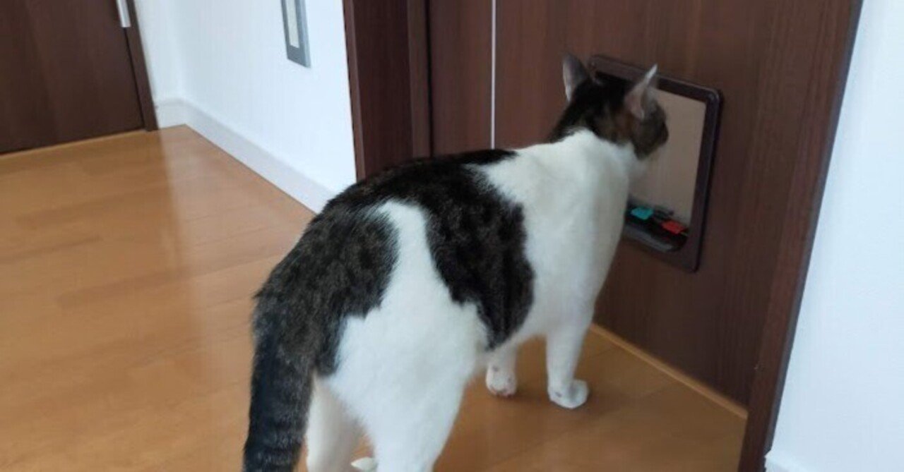 ストレス解消にと頑張ることがストレス｜chie_cat_life｜猫と暮らすと家は片付く