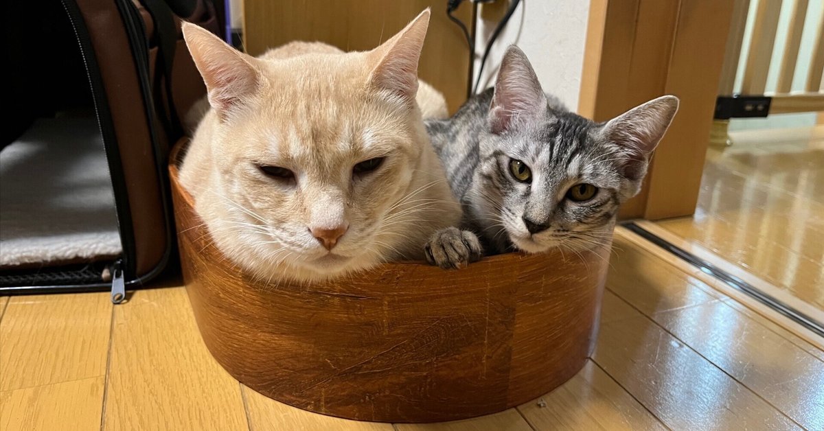 平日休みについて｜けこぜろ / ke-ko0