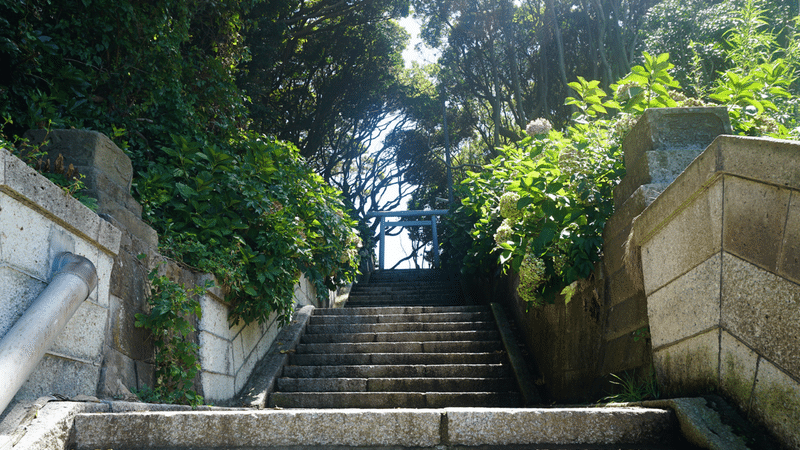 海と2つの神社：大洗磯前神社・酒列磯前神社｜倉嶋 洋介