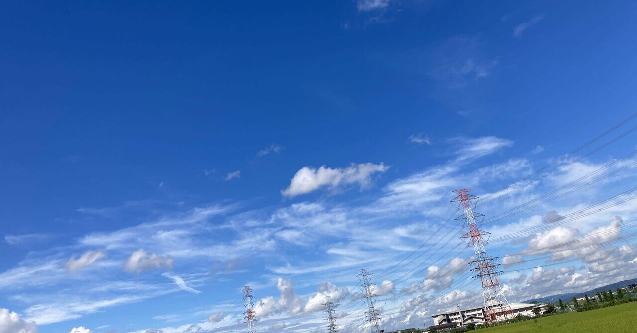 230825｜あおいとり