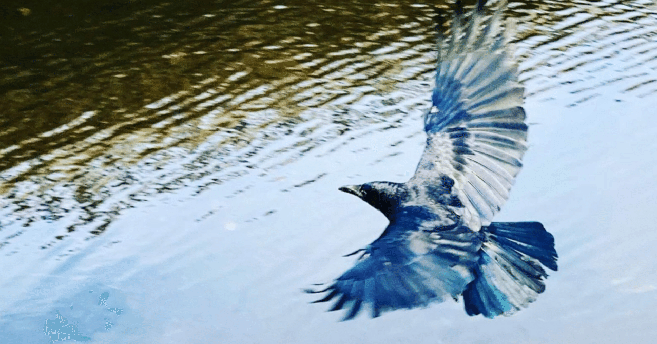 詩は翼を広げ、DNAは生命を展開する｜katoshi