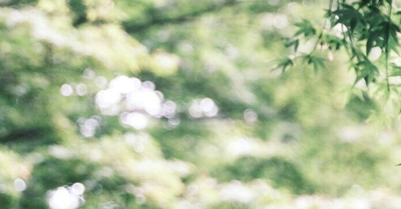 【京都ライター塾9期レポ】第4回インタビューのやり方｜Kaho Hashimoto