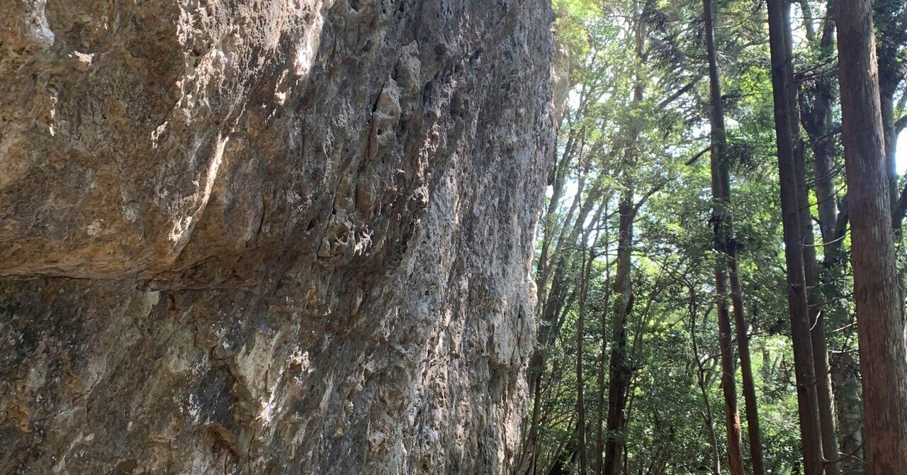 自分のモデルで登ること｜noob_climber