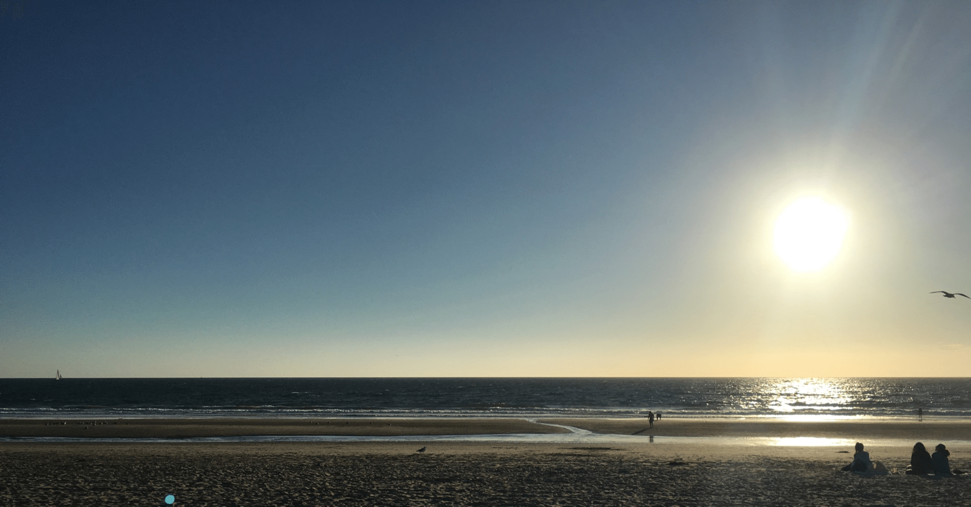 考える猫 / The thinking cat｜note