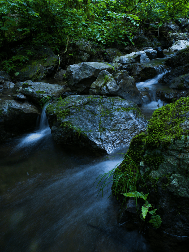 OLYMPUSとの邂逅②｜tarotaro