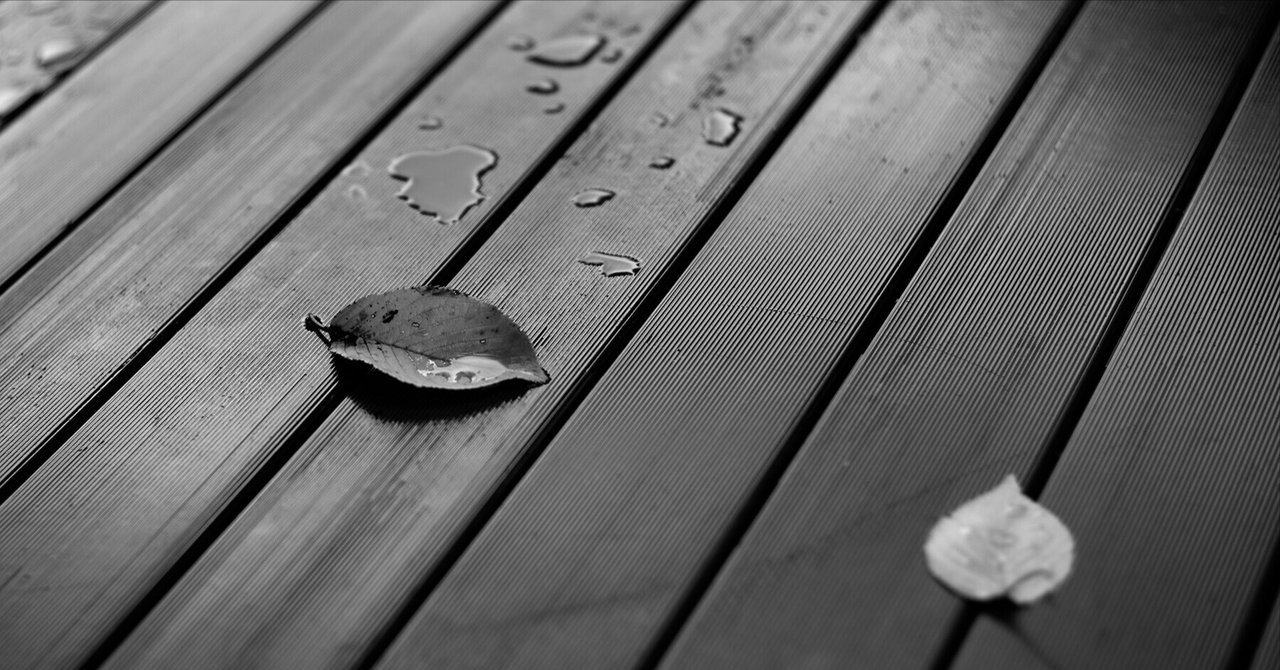 LEICA M Typ246 第一日目 其の3｜shogo.m