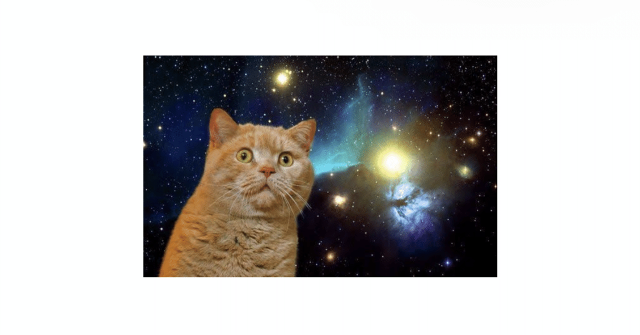 Space cat state｜Tsuki