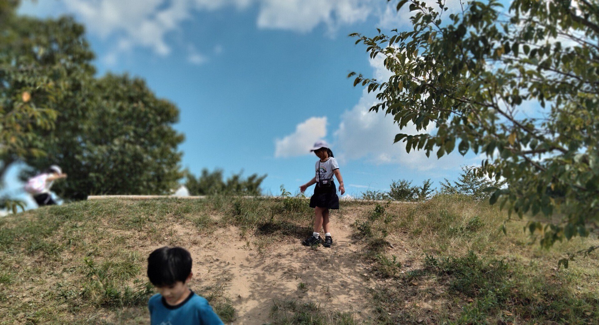 星読みカウンセラー kanako｜note