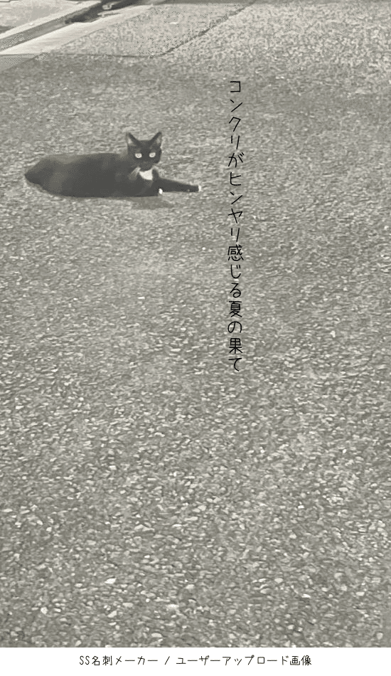 夏は苦手にゃ。 https://youtu.be/_paXh_LgwmM?si=n9cV-qlh2uUrusFP おさんぽぽんしませんか？ https://note.com/shirokuma ...