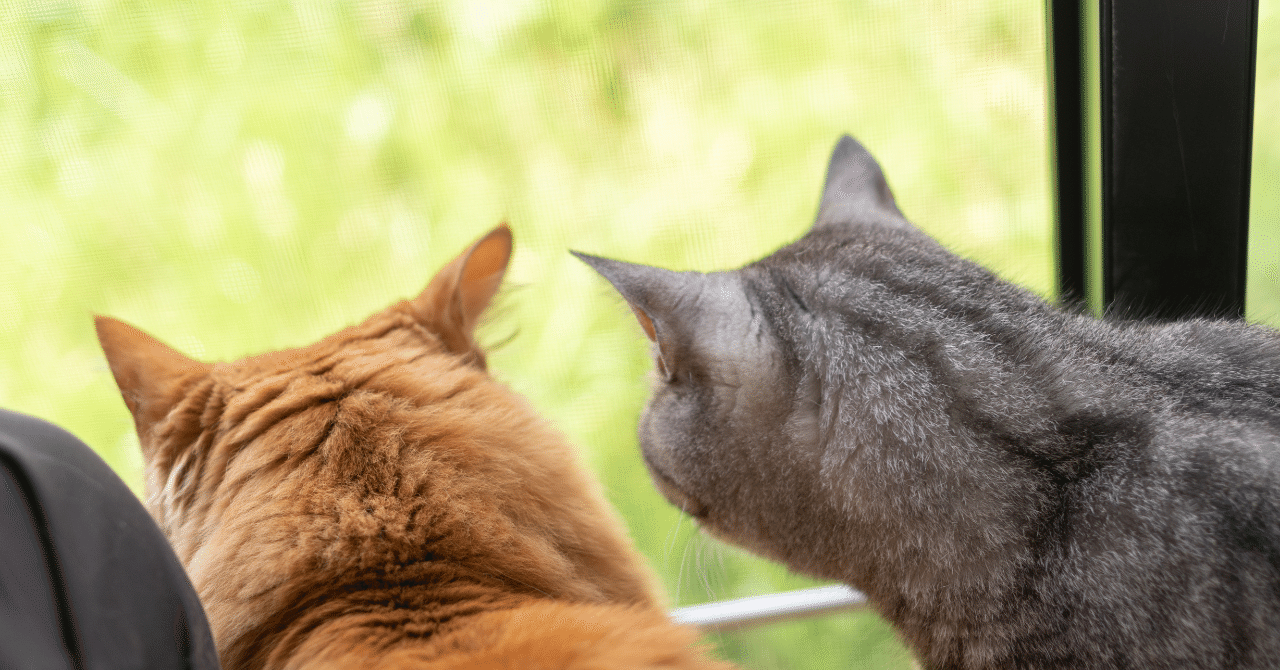 8月29日 #1181｜unico