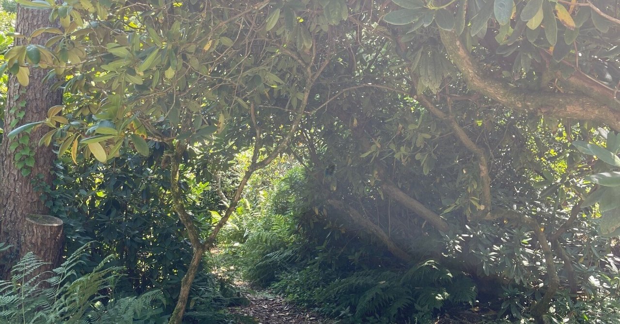 🍀これからが本番 ️自分の直感で生きる ️｜🦋Miko World🦋