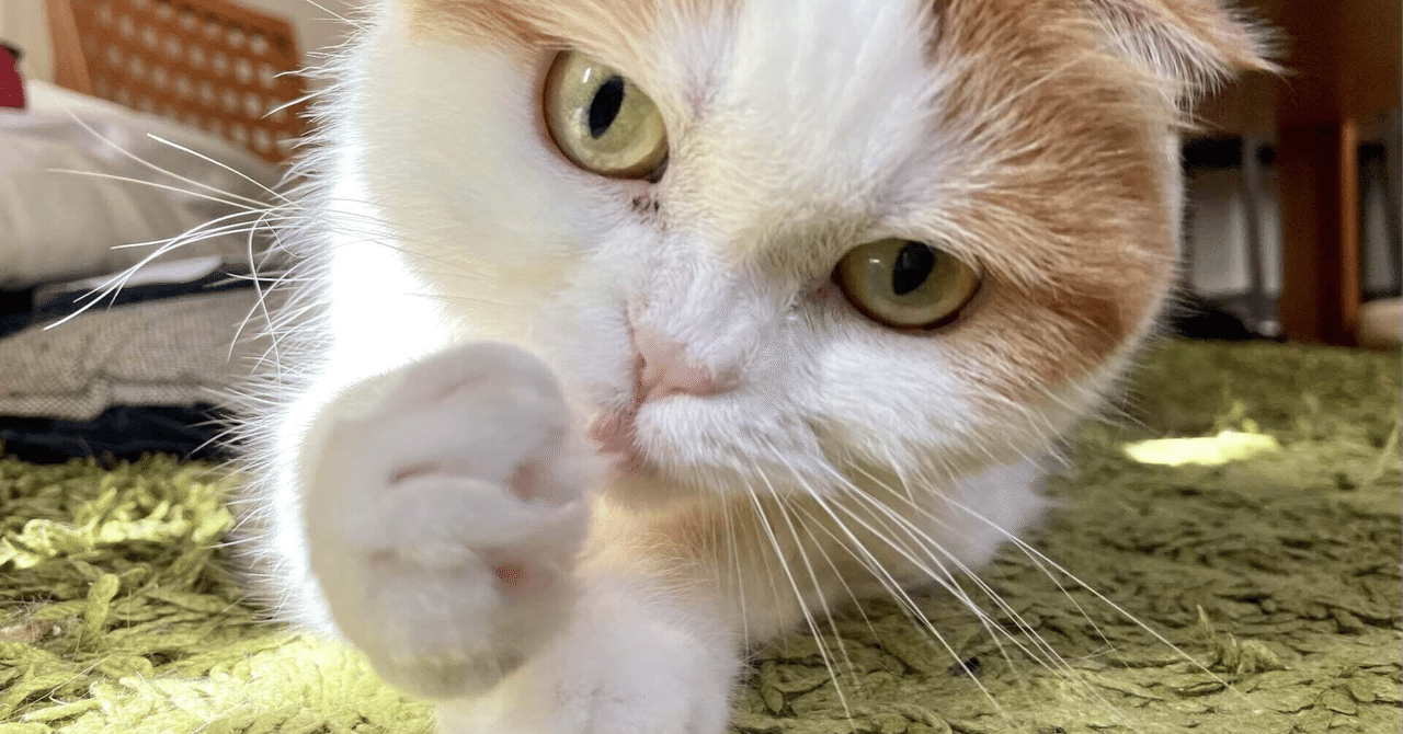 schlagen｜ムムリク・ミ