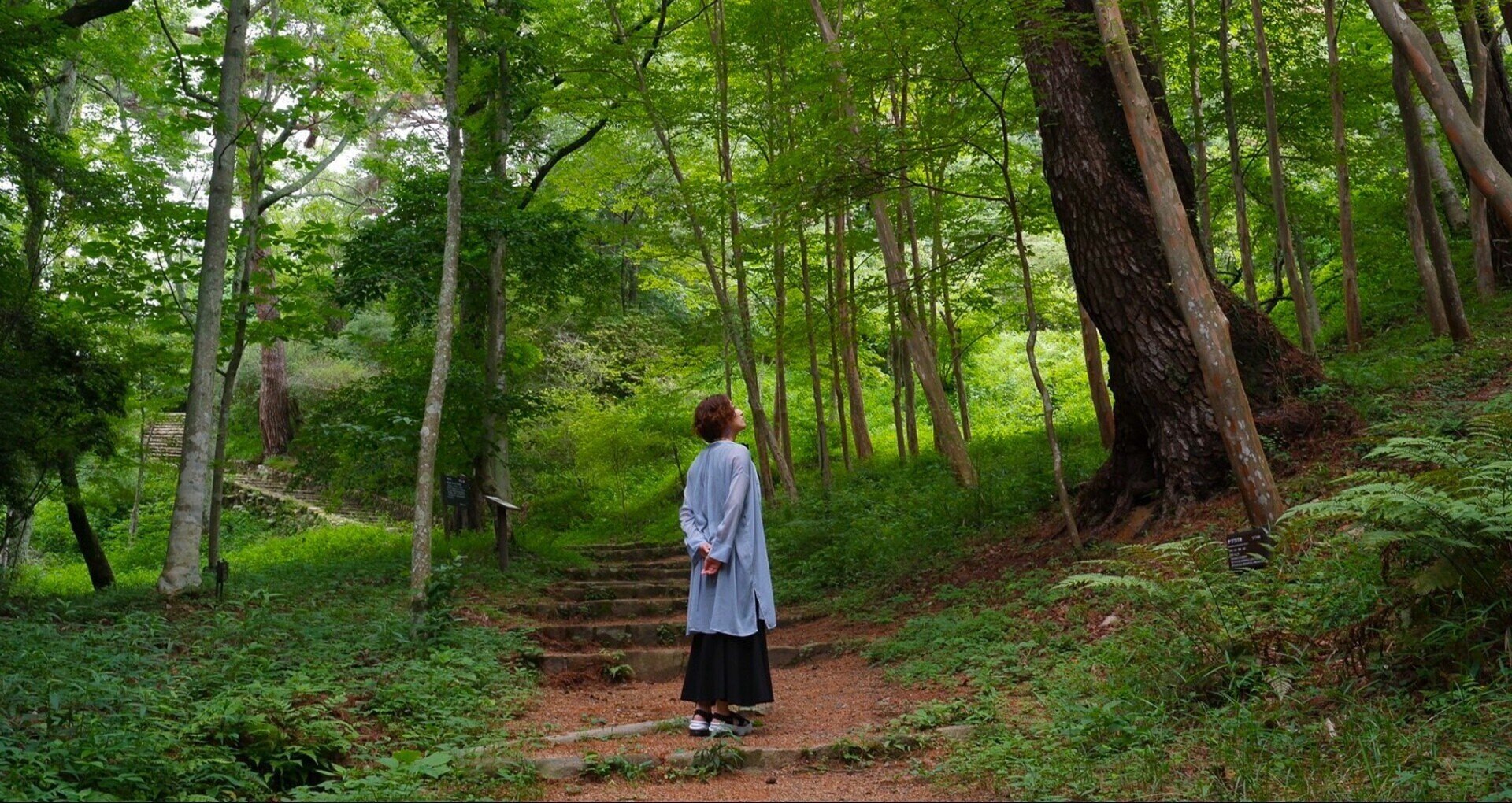 森彩華（KIRIN）｜note