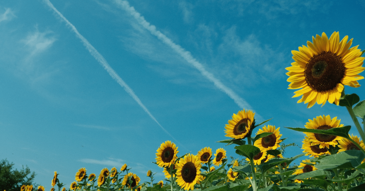 人と関わるから成長するんだな～｜Kai☆Pra