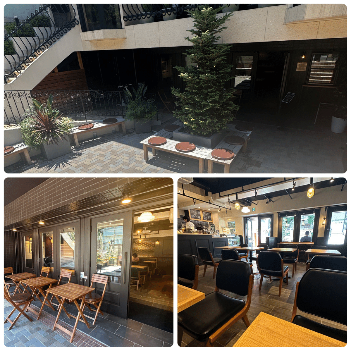 恐竜って龍？って思ってしまったお話｜Sunao♡ cafeで すなお に5次元トーク