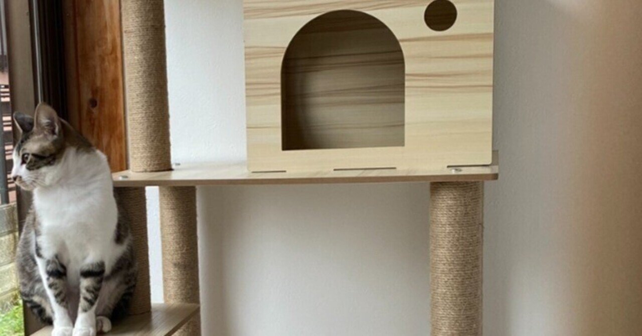 相棒｜金城学院 公式 note「 Kinjo Knowledge