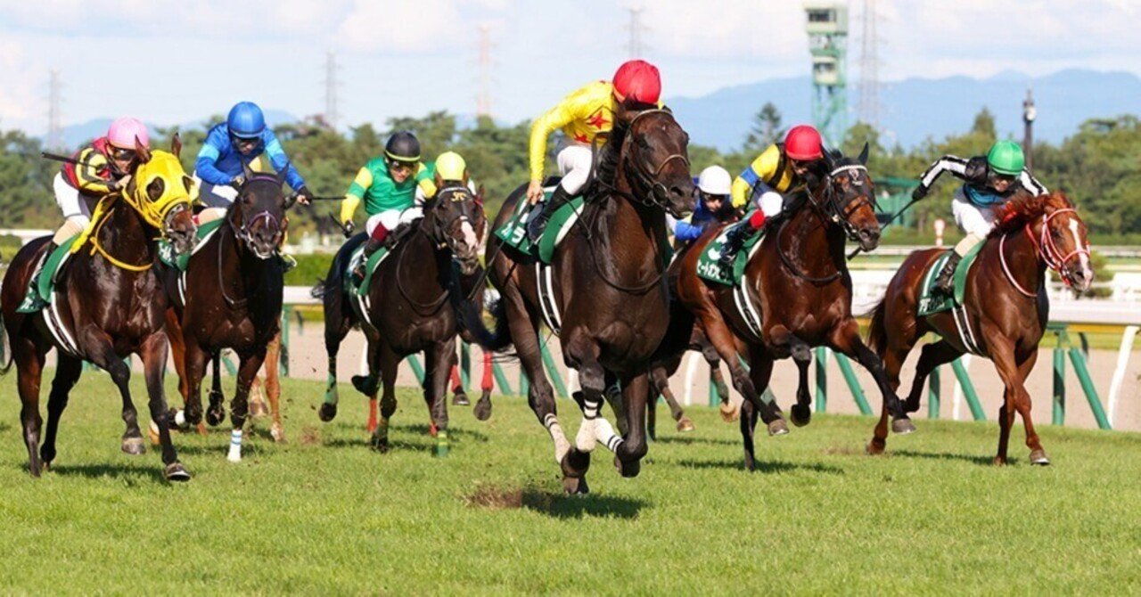 【2023 新潟記念（G3）】徹底的に攻略データ篇｜Haya