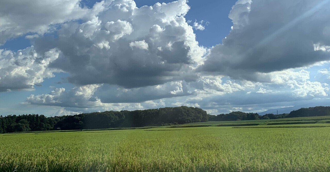 初めてのnote｜yamada