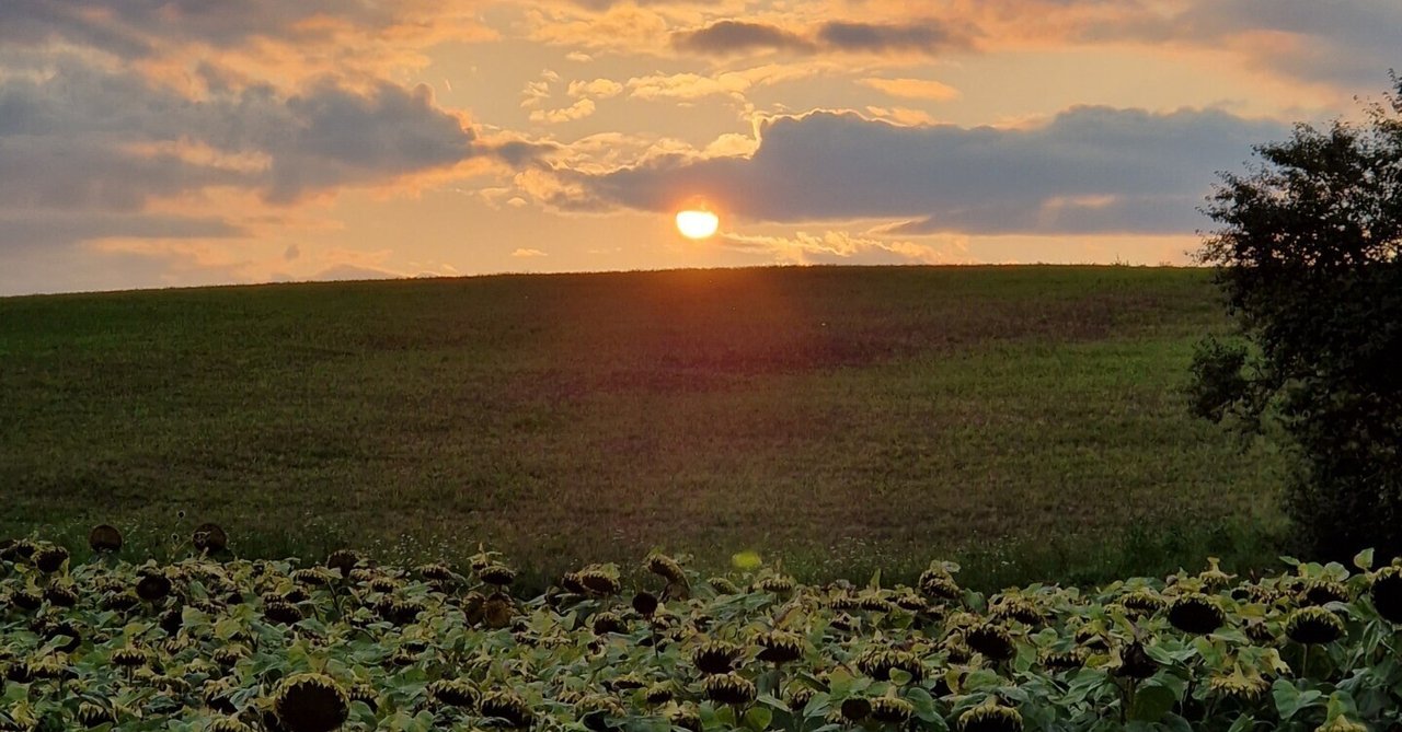 廃墟の謎に迫る。｜MiNoRu