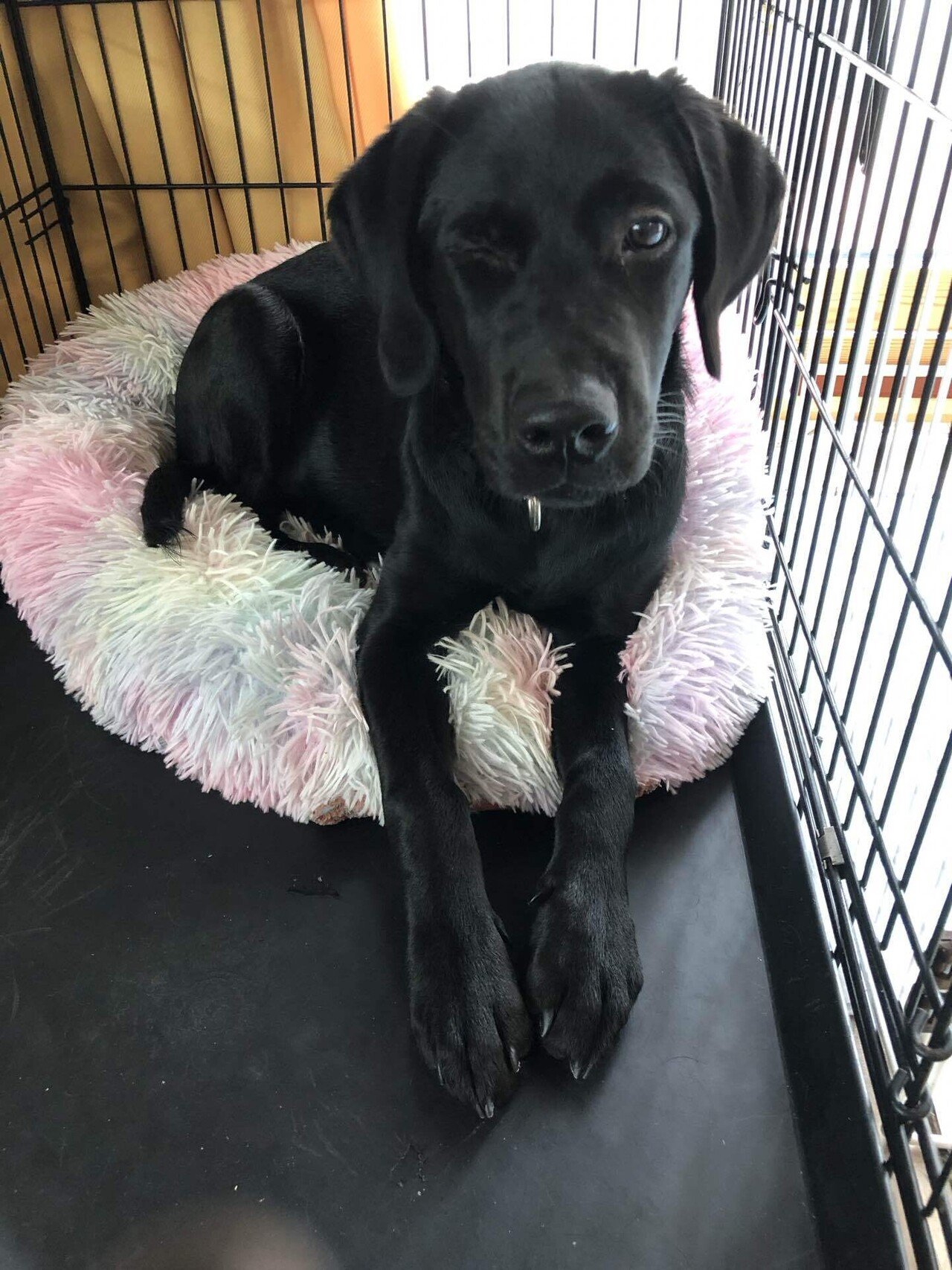 家が‥家が‥｜ユメカ（Yumeka.yy）