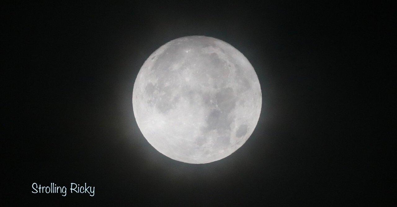 Extra Issue: Super Blue Moon｜Strolling Ricky