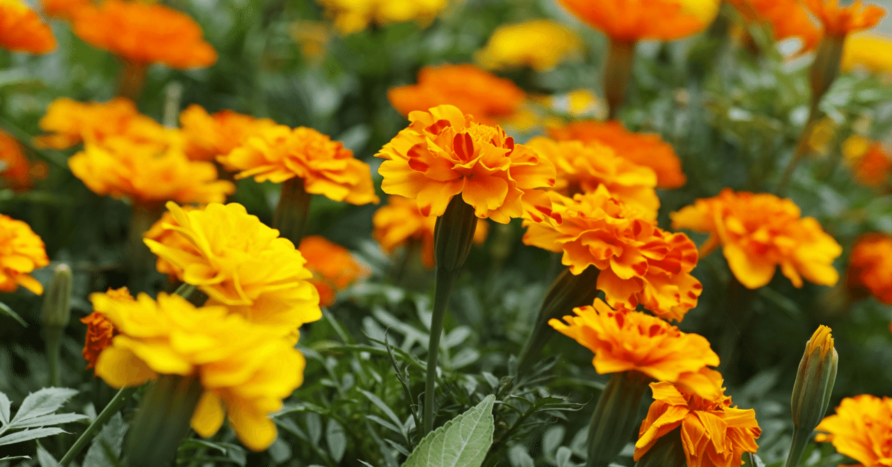 3.4.1 CHATGPTが仕事を奪う？｜N Takuma