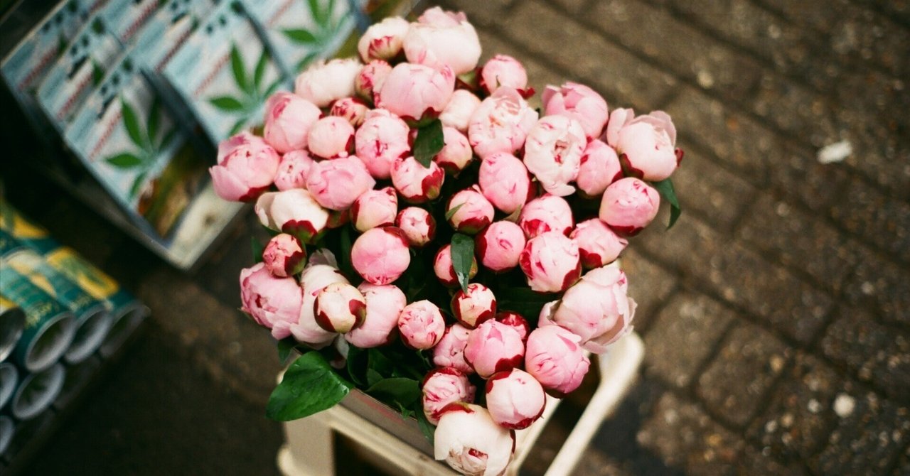 お元気で。｜TANOSHIKA 𝕡𝕚𝕒𝕤𝕦