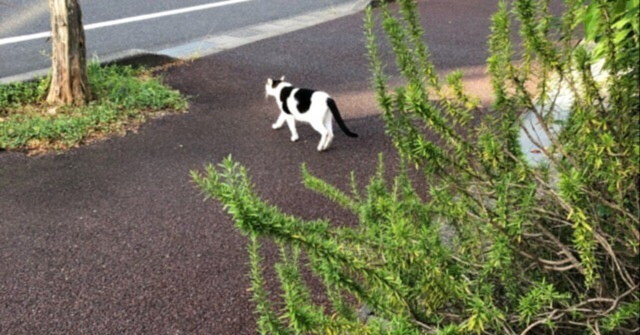 巣立った？｜charu_mobile