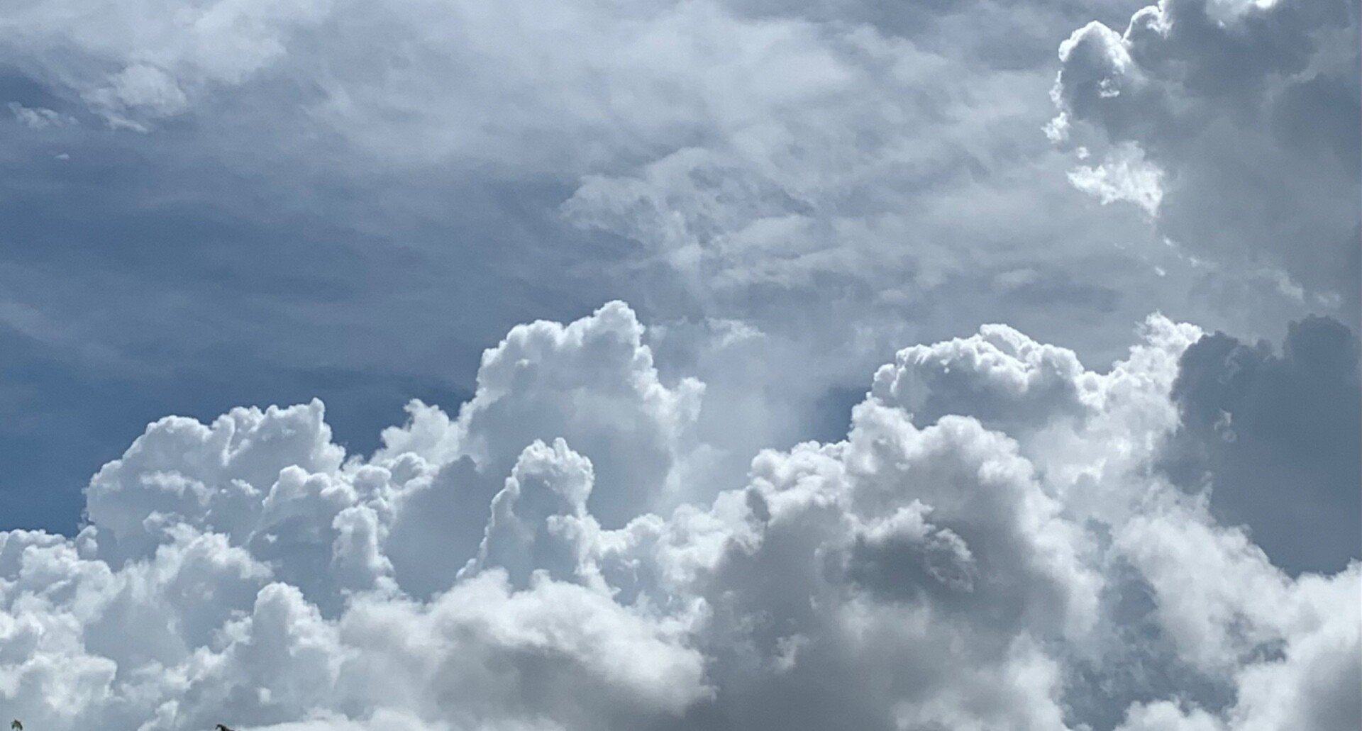 人間探求 note｜YOKO ️人間探求・意識的に創造する世界｜note