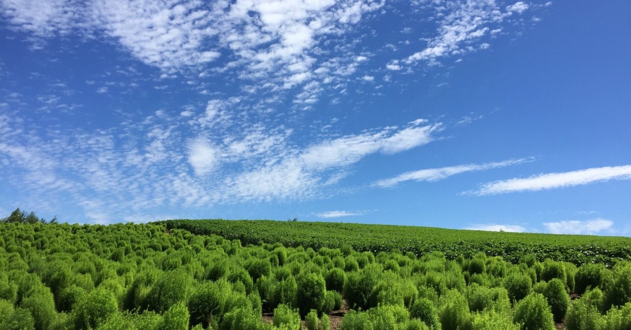 行動経済学が興味深くておもしろい｜Kenichi Aichi