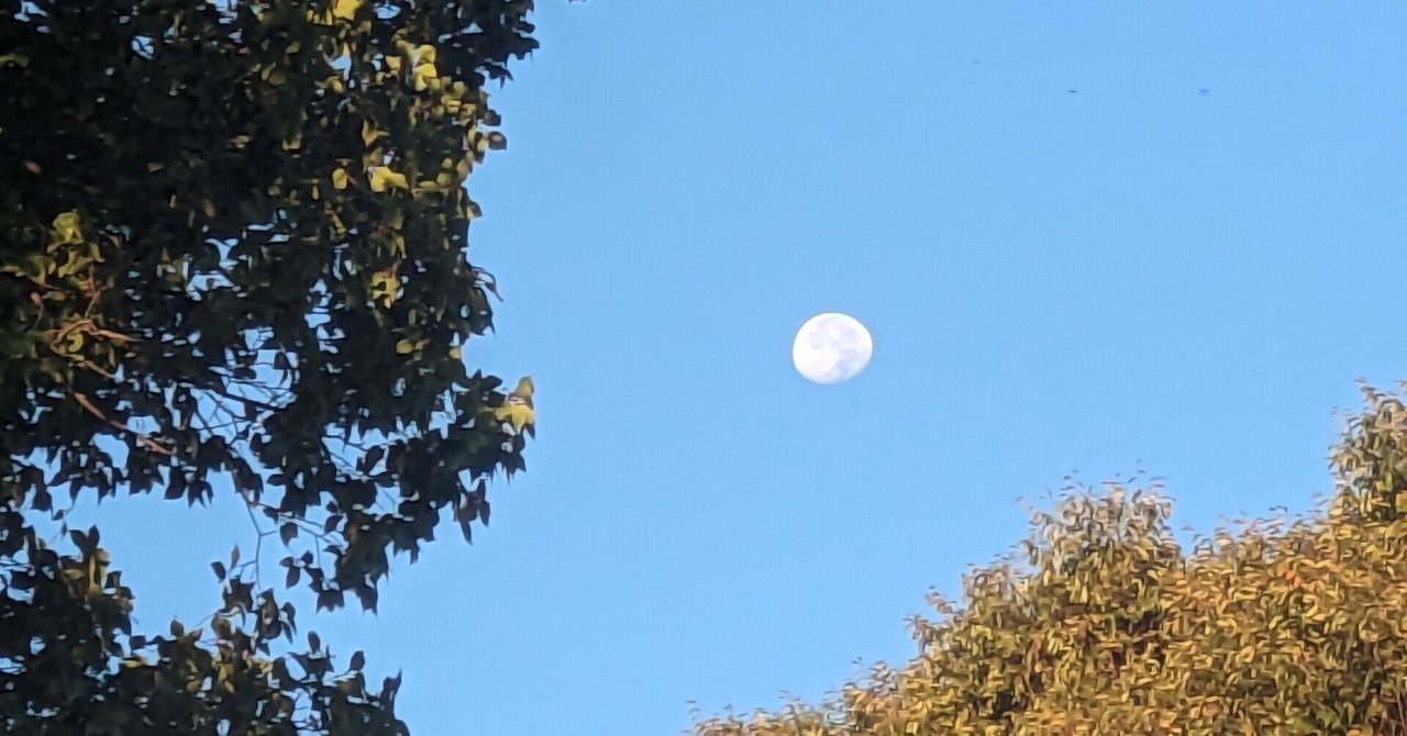 一枚の画像〜久しぶりに観る月｜ichiro70