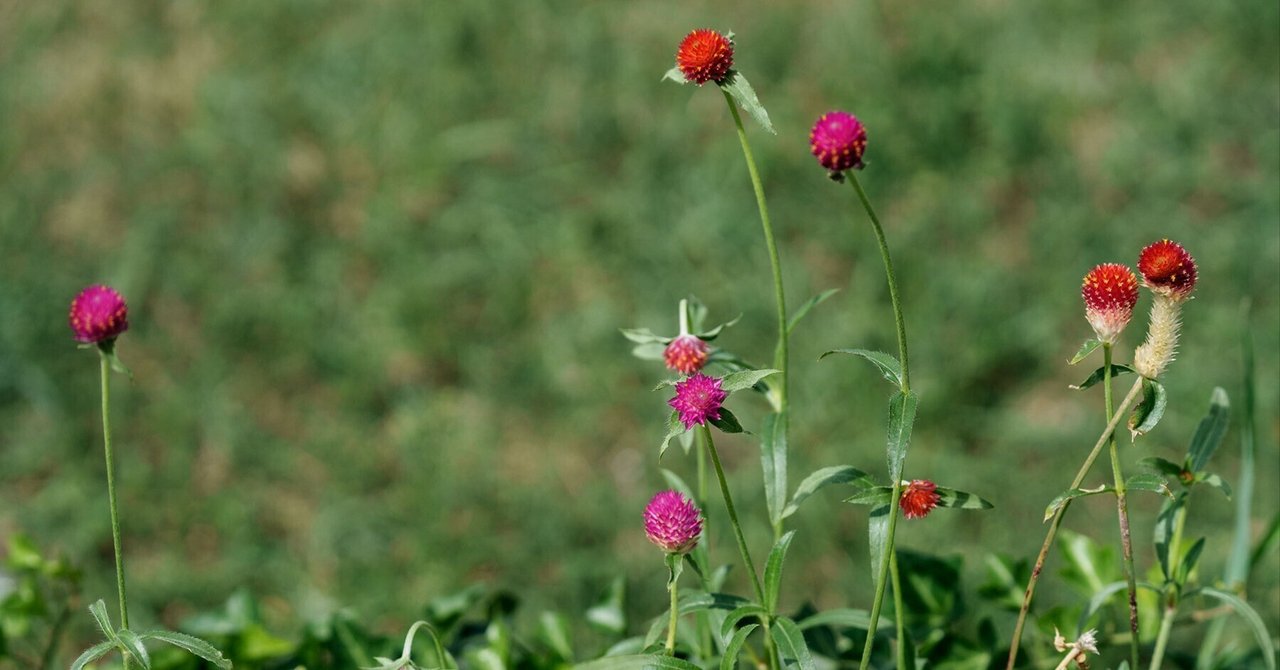 裏切る人、裏切らない人：Anizine｜ワタナベアニ