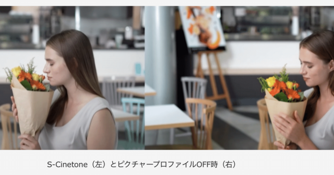 S-Cinetoneの所感｜Oography